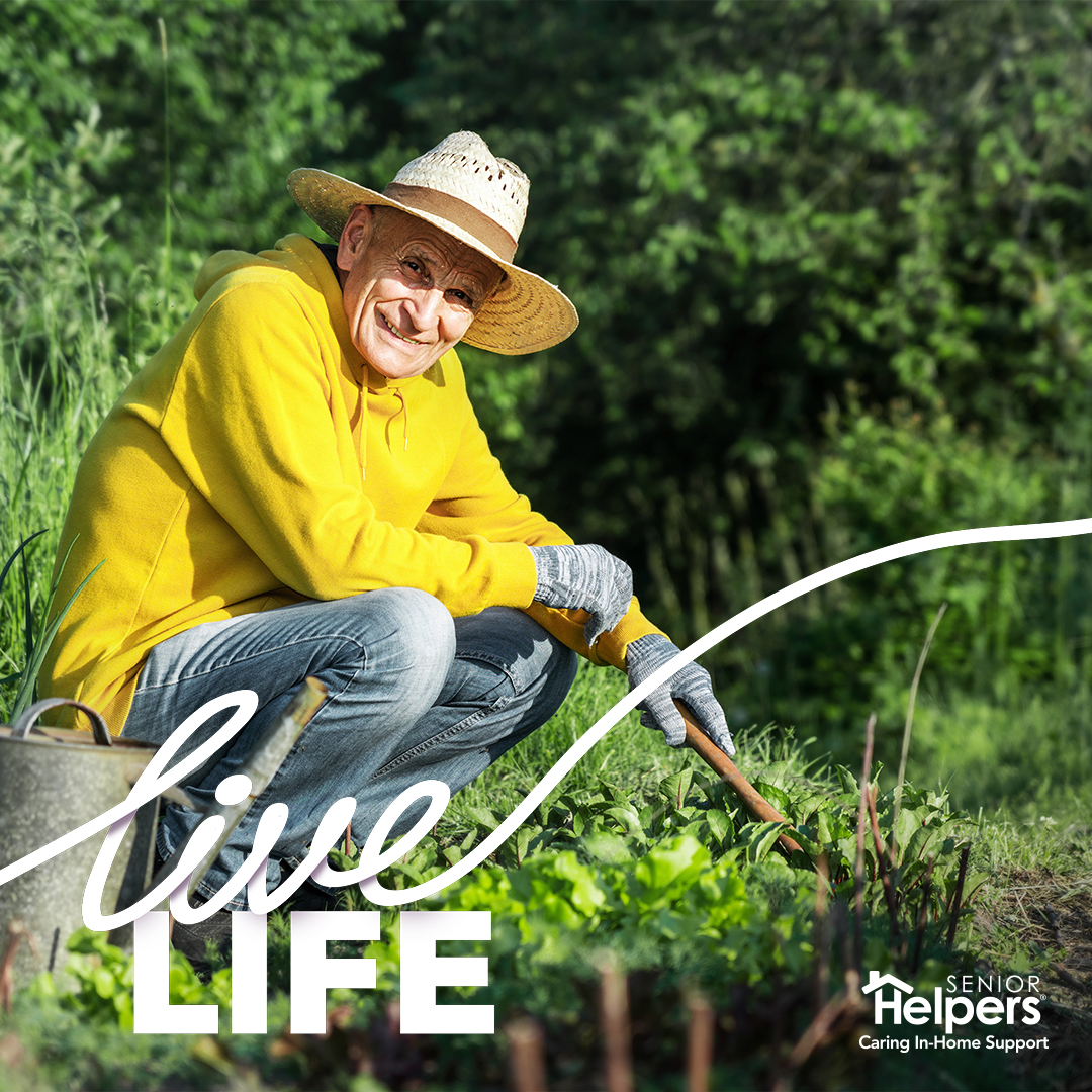 What Can I Spend My Aged Care Package On? - Senior Helpers Australia